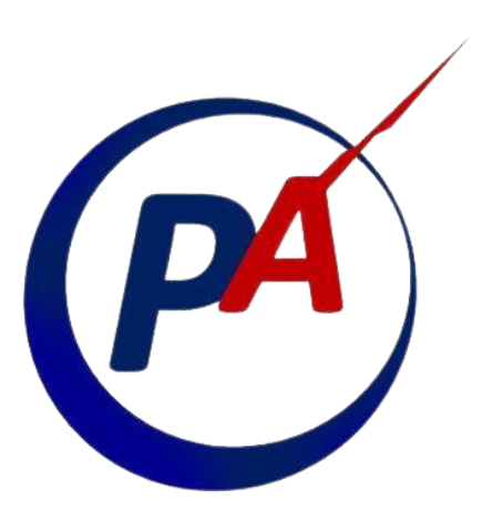 Pro Audio Electronics LLC